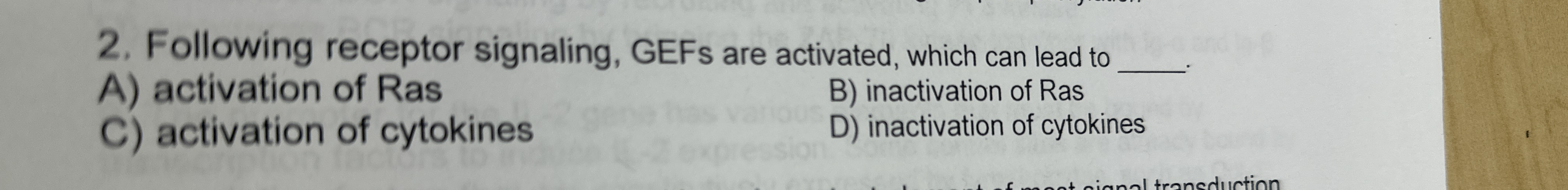 Solved Following receptor signaling, GEFs are activated, | Chegg.com