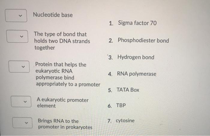 Nucleotide base