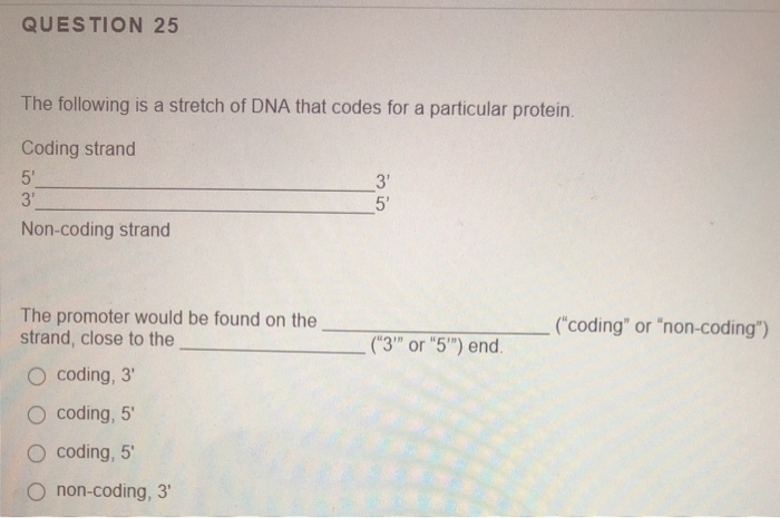 Solved QUESTION 25 The following is a stretch of DNA that | Chegg.com