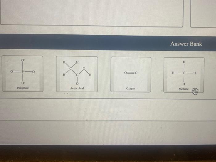 Solved Identify the functional groups present in each | Chegg.com
