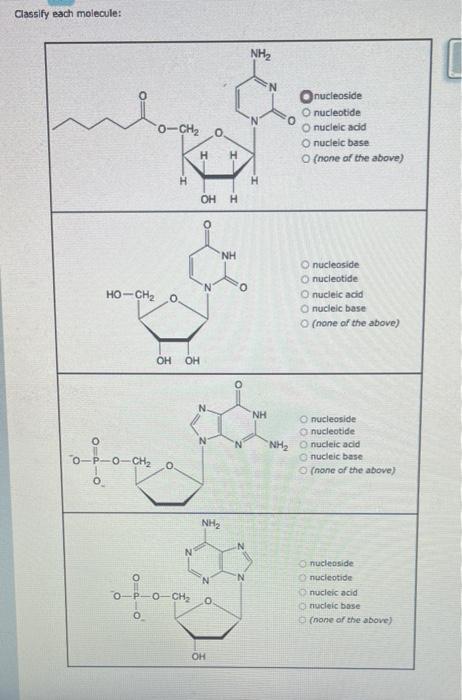 Solved Classify each molecule: NH2 ( O-CH2 o nucleoside | Chegg.com