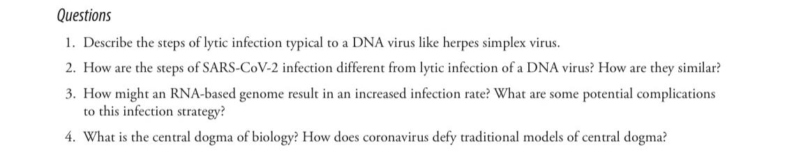 Solved QuestionsDescribe the steps of lytic infection | Chegg.com