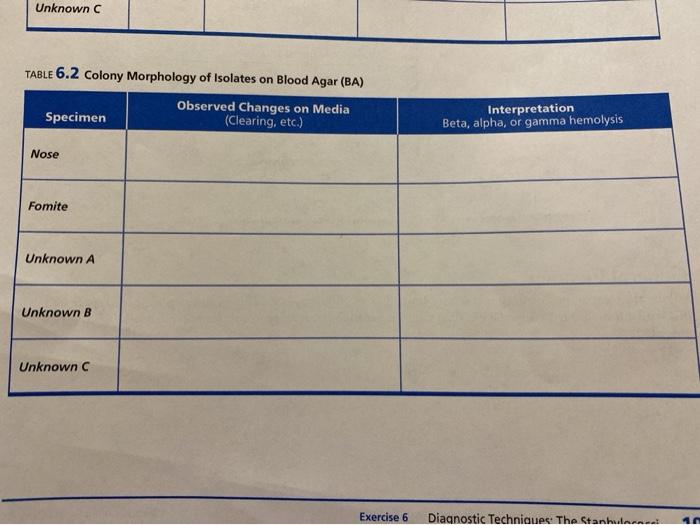 Solved OBSERVATIONS AND RESULTS Procedure: Isolation and | Chegg.com