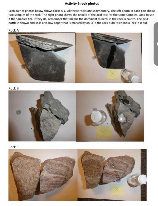 Solved 1. Examine the photos of sedimentary rocks A-C in the | Chegg.com