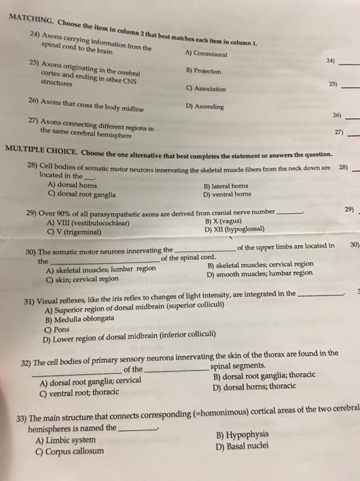 Solved MULTIPLE CHOICE. Choose the one alternative that best | Chegg.com