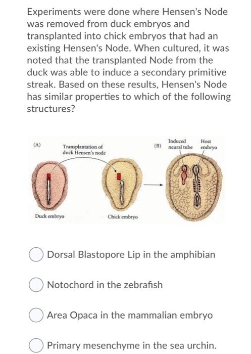 Solved Experiments were done where Hensen's Node was removed | Chegg.com