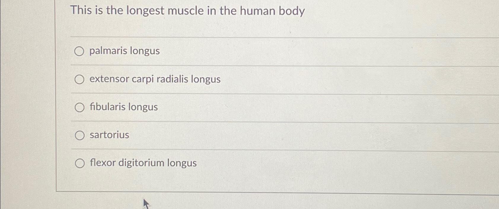 Solved This is the longest muscle in the human bodypalmaris | Chegg.com