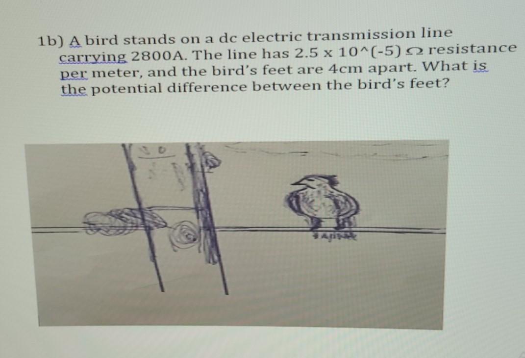 Solved 1b) A bird stands on a dc electric transmission line | Chegg.com