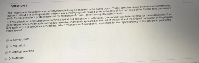 Solved QUESTION 1 The Pingelapese are a population of 3.000 | Chegg.com