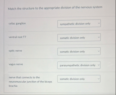 Solved Match the structure to the appropriate division of | Chegg.com