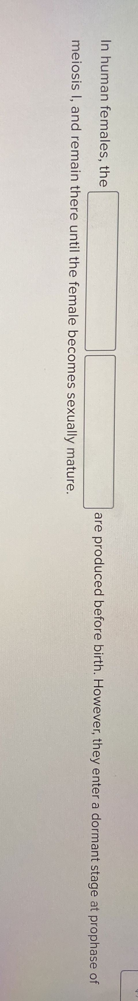 Solved In human females, the ﻿meiosis I, and remain there | Chegg.com