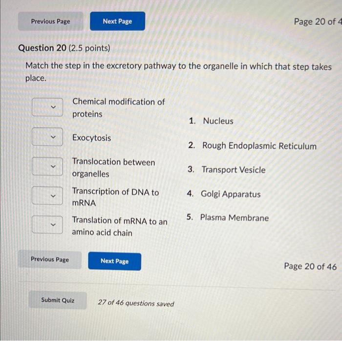Solved Page 20 of Question 20 (2.5 points) Match the step in | Chegg.com