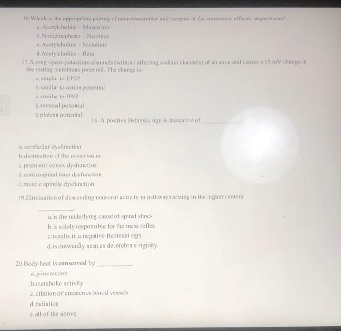 Solved 1. Skilled voluntary muscle movements are initiated | Chegg.com