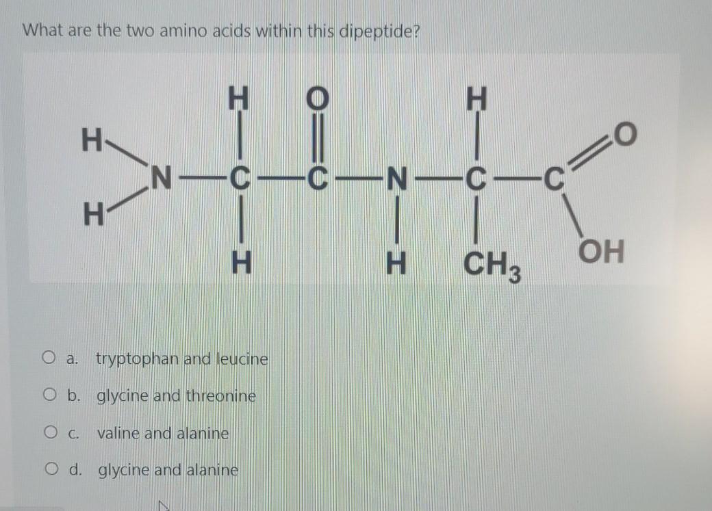 Solved What are the two amino acids within this dipeptide? H | Chegg.com