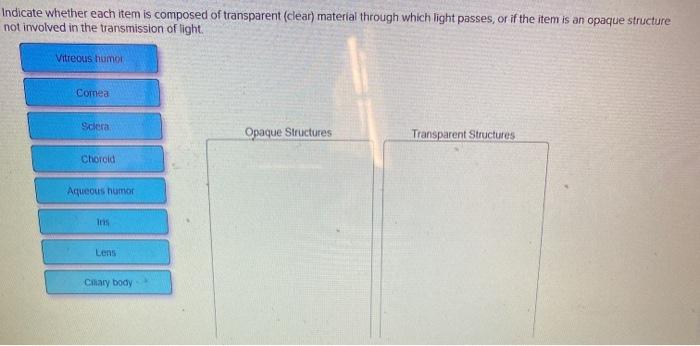 Solved Indicate whether each item is composed of transparent | Chegg.com