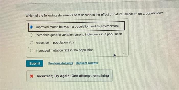 Which of the following statements best describes the | Chegg.com