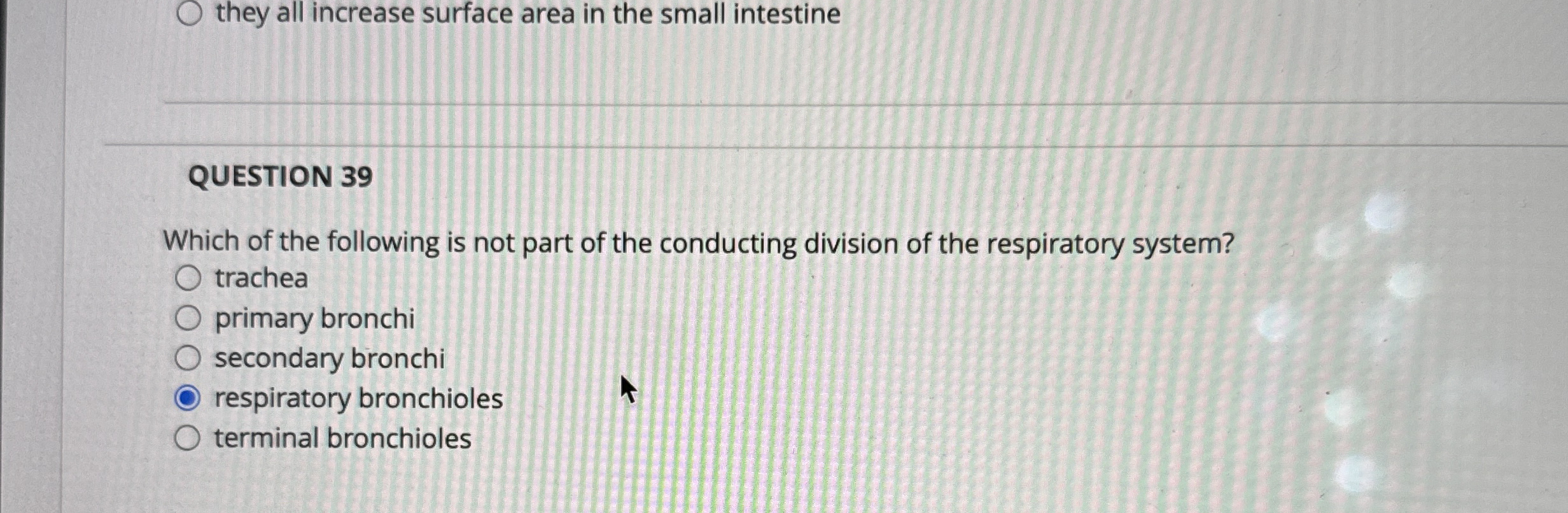 Solved they all increase surface area in the small | Chegg.com