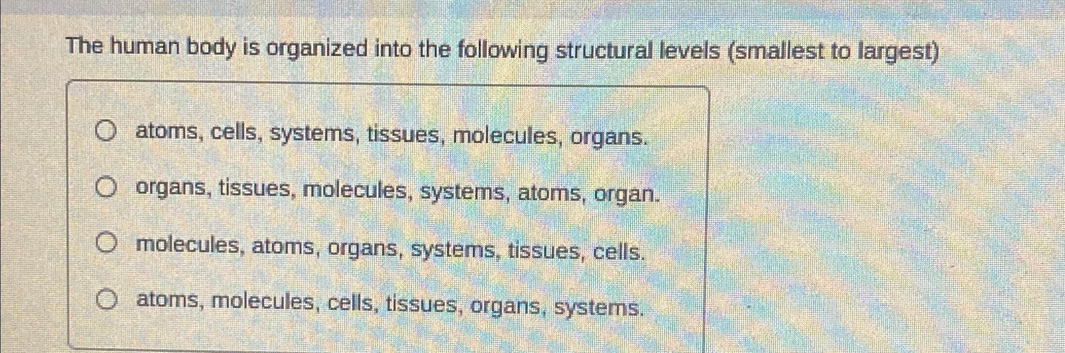 Solved The human body is organized into the following | Chegg.com