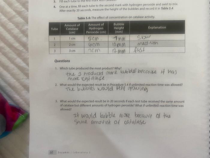 Solved Enzyme Substrate Specificity 1 Obtain Four Clean