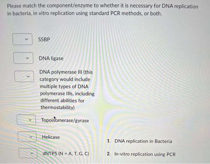 Solved Please match the component/enzyme to whether it is | Chegg.com
