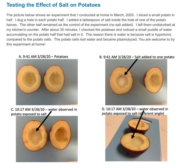 Solved The picture below shows an experiment that I | Chegg.com