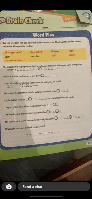 Solved Lesson Brain Check Name Word Play Use the words in | Chegg.com