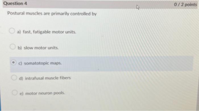 Solved Postural muscles are primarily controlled by a) fast, | Chegg.com