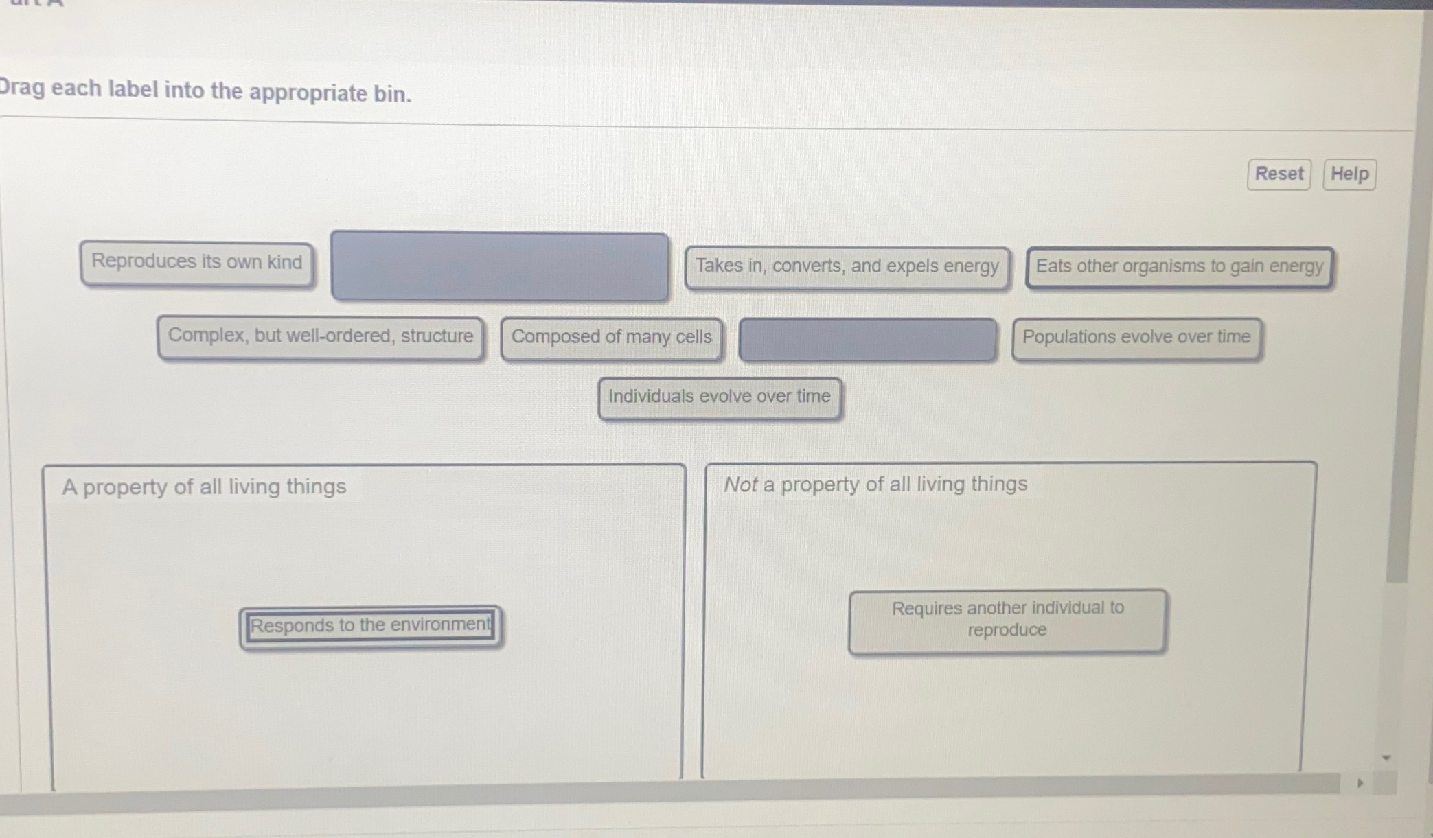 Solved Drag each label into the appropriate | Chegg.com