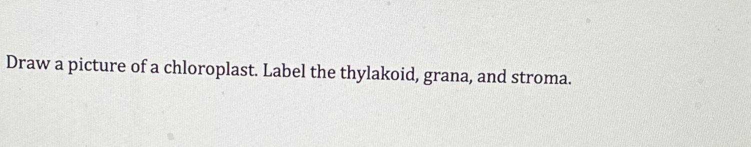 Solved Draw a picture of a chloroplast. Label the thylakoid, | Chegg.com
