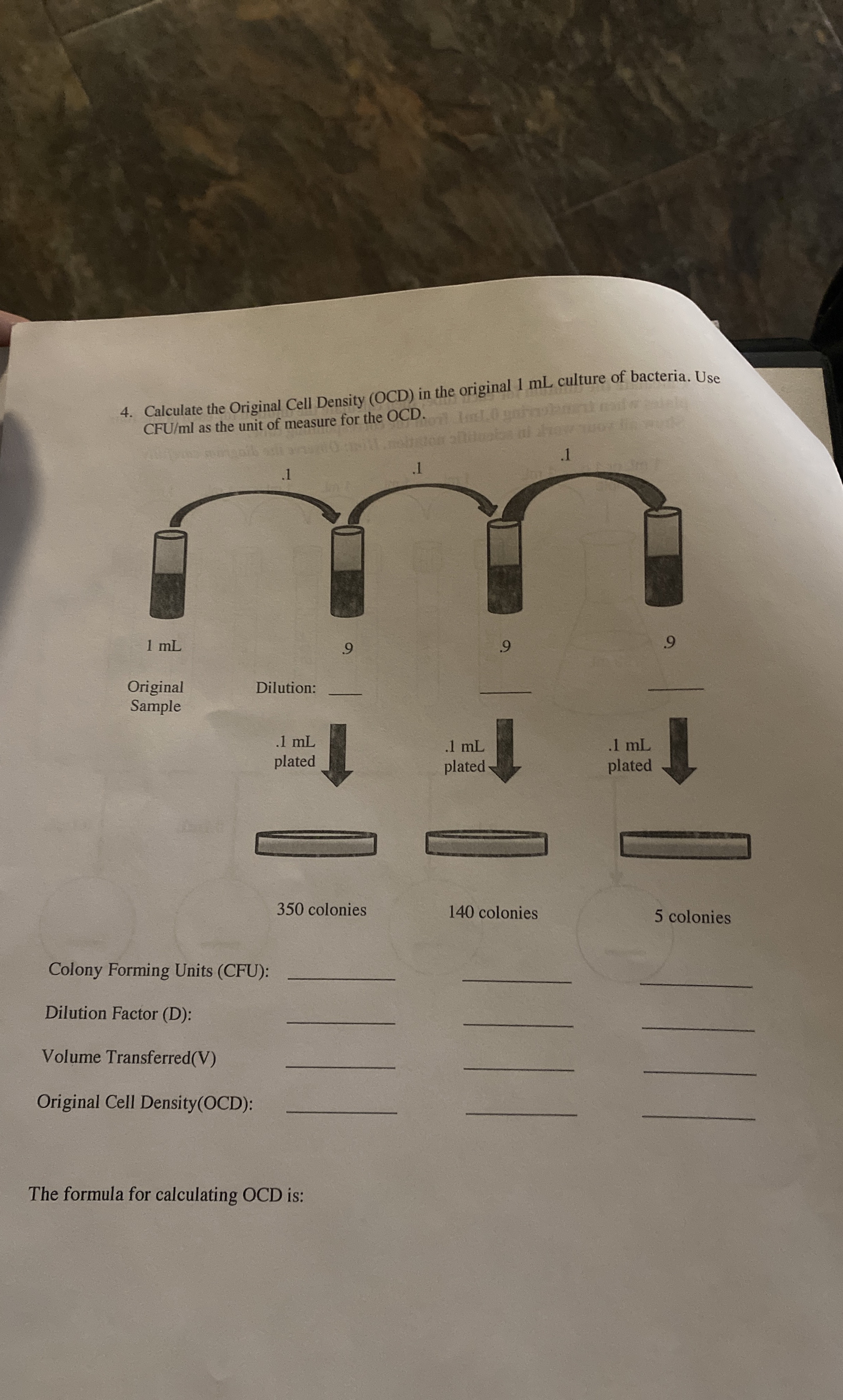 Calculate the Original Cell Density (OCD) ﻿in the | Chegg.com