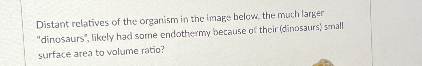 Solved Distant relatives of the organism in the image below, | Chegg.com