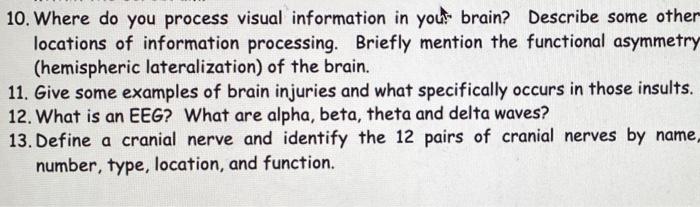 Solved 10. Where do you process visual information in yout | Chegg.com