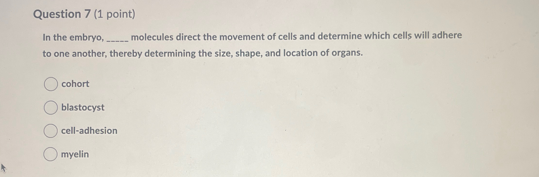 Solved Question 7 (1 ﻿point)In the embryo, q, ﻿molecules | Chegg.com