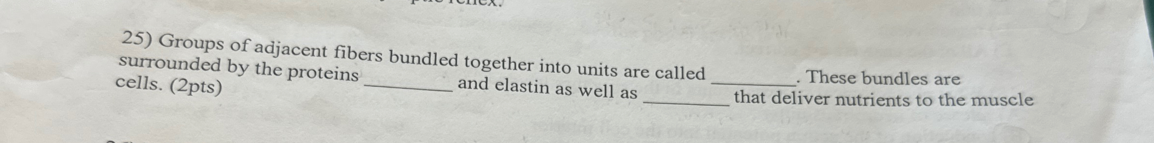 Solved Groups of adjacent fibers bundled together into units | Chegg.com