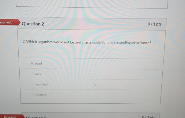 Solved ncorrect Question 2 0/1 pts 2. Which organism would | Chegg.com Solved ncorrect Question 2 0/1 pts 2. Which organism would | Chegg.com
