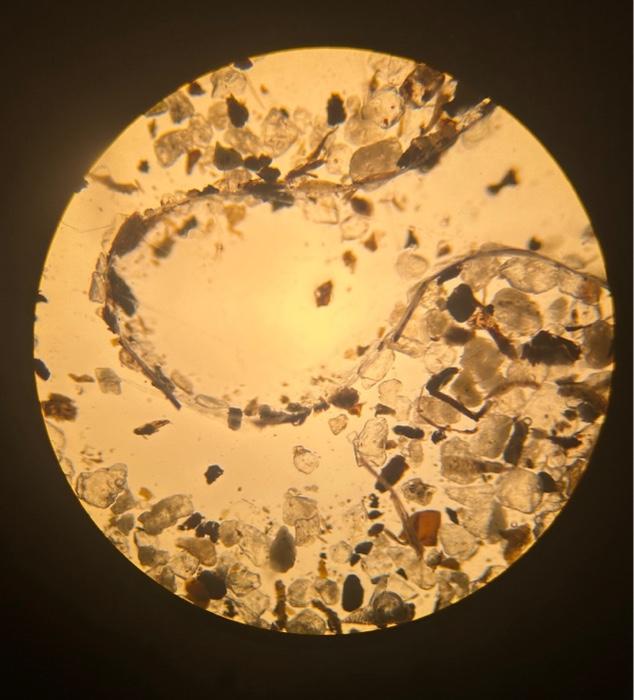 Solved Create a graph, chart, and point the key features of | Chegg.com