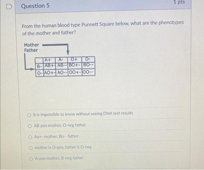 Solved 1 pts D Question 5 From the human blood type Punnett | Chegg.com