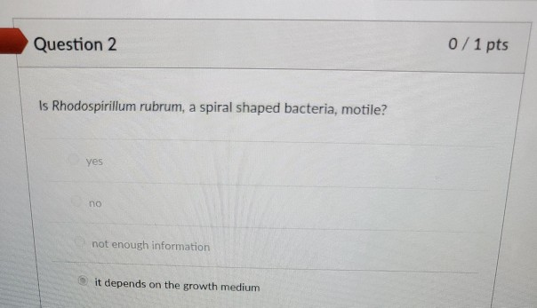 Solved Question 2 0/1 pts Is Rhodospirillum rubrum, a spiral | Chegg.com