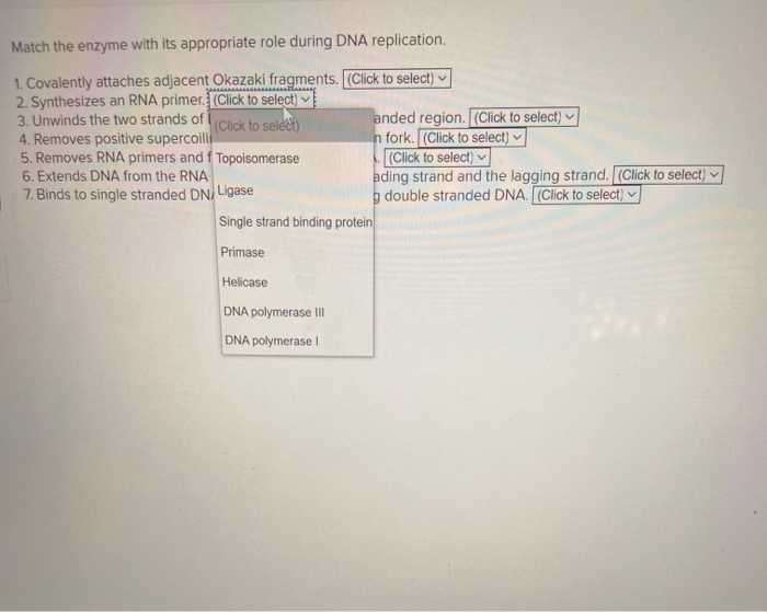 Assignment (6 pts) Saved Match the enzyme with its | Chegg.com