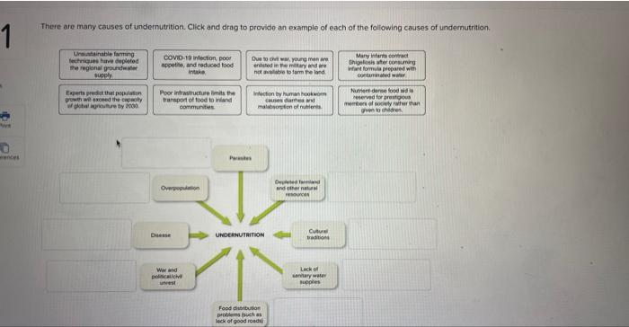 There are many causes of undernutrition. Click and | Chegg.com