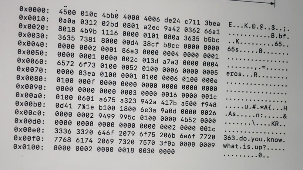 Solved Byte Offset O Version IHL (Header Length) Type of | Chegg.com