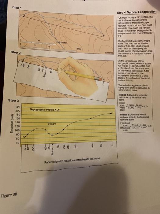 Solved Step 1 Step 4 Vertical Exaggeration On most | Chegg.com