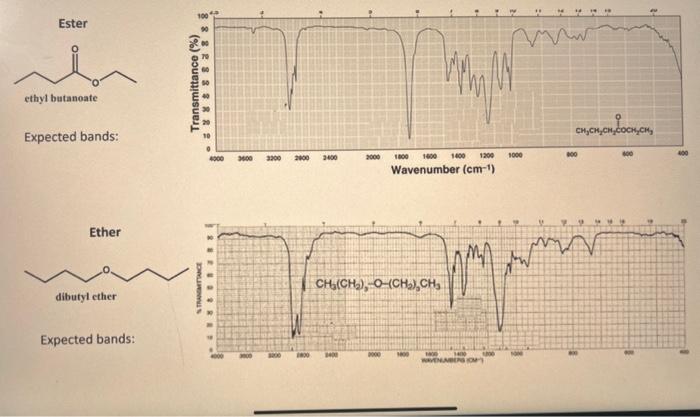 Solved Ester | Chegg.com