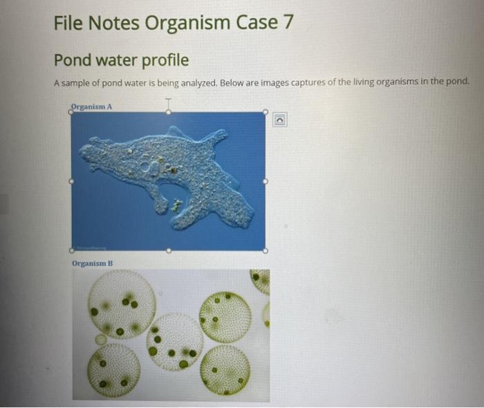 Solved Organism 7: Pond water profile A sample of pond water | Chegg.com