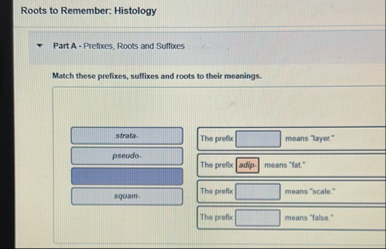 Solved Roots to Remember: HistologyPart A - ﻿Preflxes, Roots | Chegg.com
