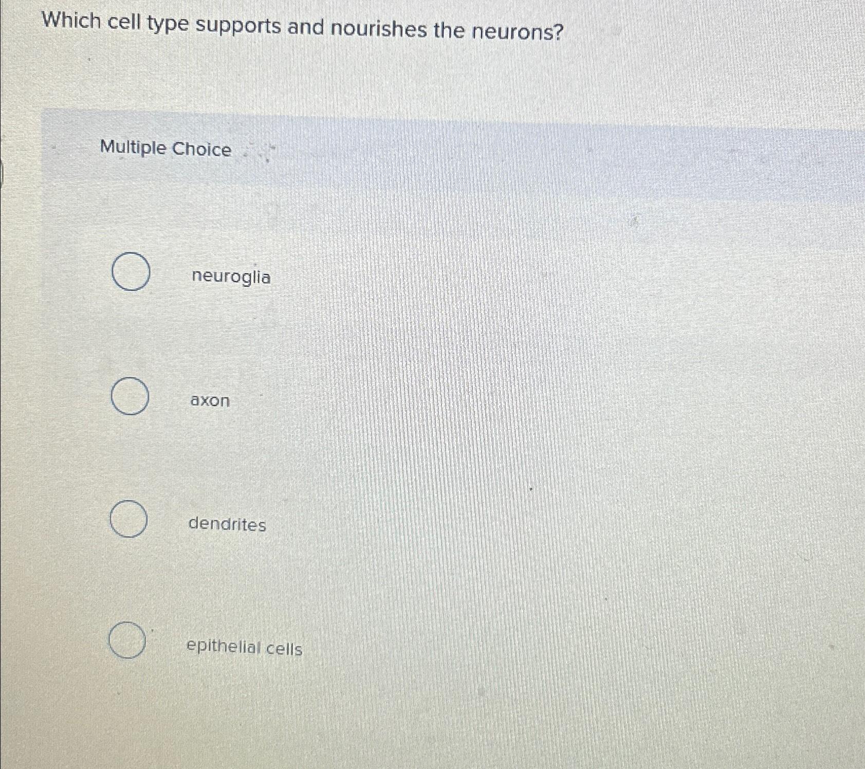 Solved Which cell type supports and nourishes the | Chegg.com