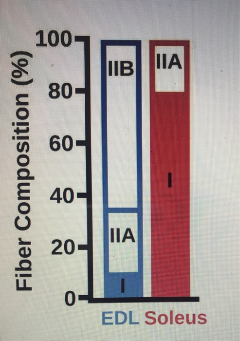 Solved 100 IIB ΠΙΑ 80 60 Fiber Composition (%) 40- ΠΑΙ 20 0 | Chegg.com