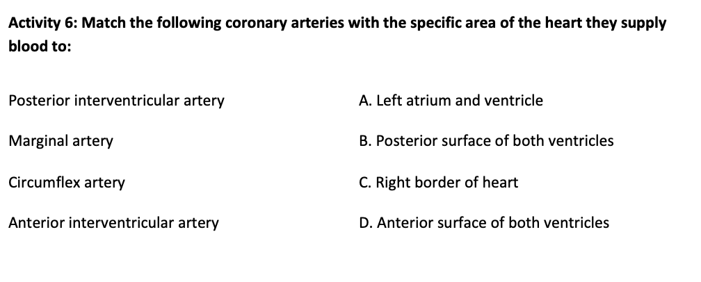 Solved Activity 6: Match the following coronary arteries | Chegg.com