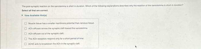 Solved The post-synaptic reaction on the sarcolemma is short | Chegg.com
