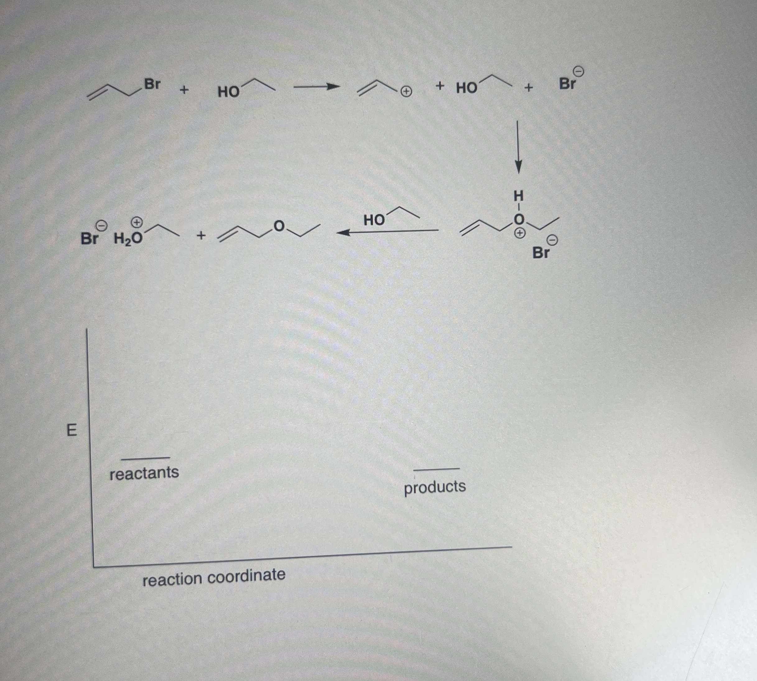 For the following reactions draw arrows showing the | Chegg.com